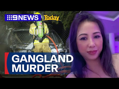 New details in shocking Sydney kidnapping and murder | 9 News Australia
