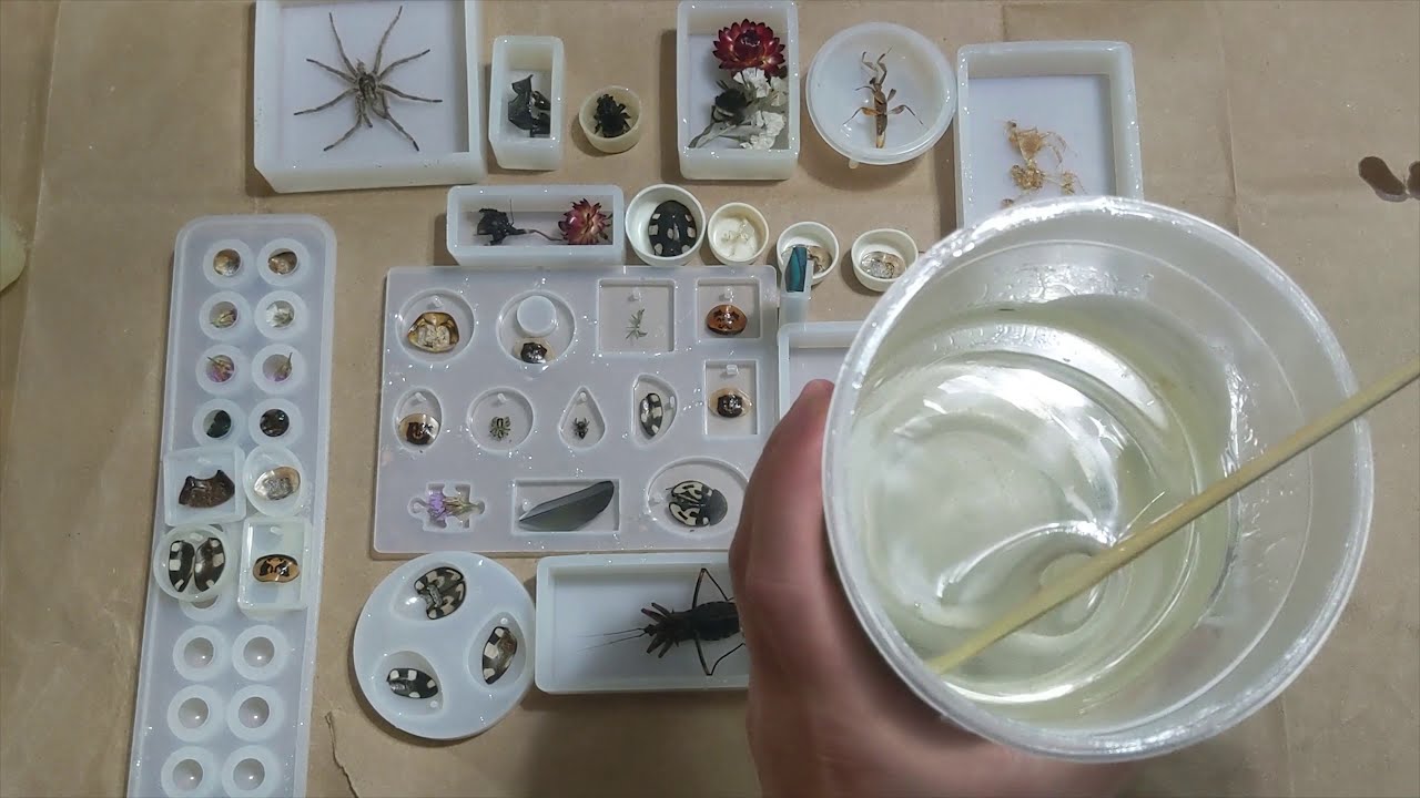 How To Preserve Bugs in Resin: giving specimens a new life after death. step by step with time-lapse