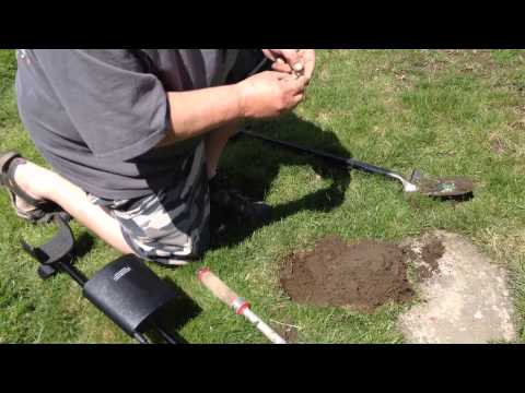 Testing new bounty hunter metal detector