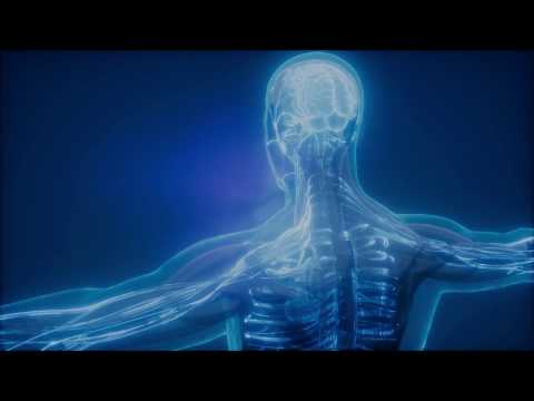 Oleratine English Introduction - Oleuropein - Extract