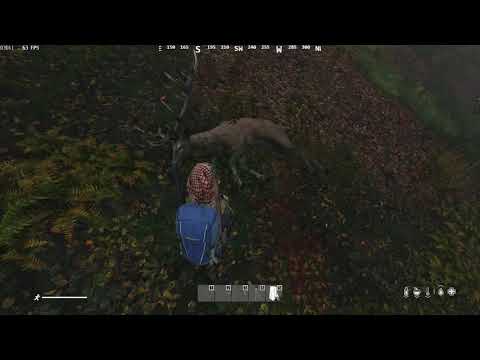 Steam Community :: Video :: Stag Encounter