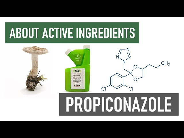 Agriculture Fungicide - Shine Star Propiconazole 25% Ec Fungicide ...