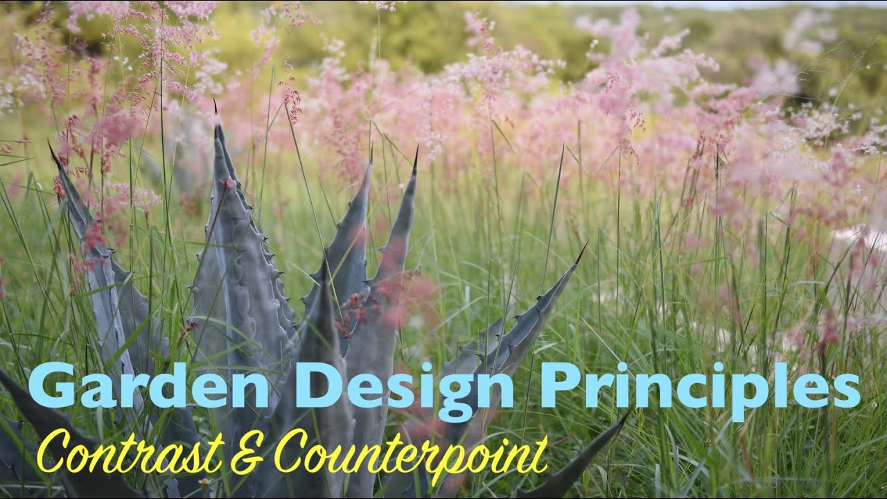 Garden Design Principles - Contrast & Counterpoint