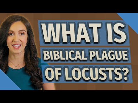 What is biblical plague of locusts?