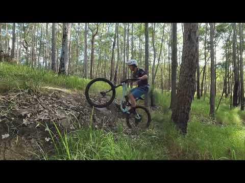 Specialized Status 160 Review