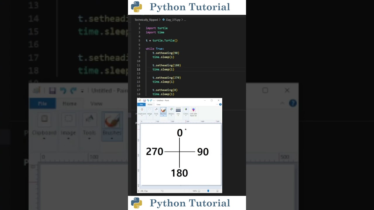 How To Change Pen Direction In Turtle | Python Tutorial
