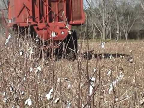 Cotton Stalk Chopper at Best Price in India