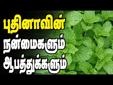 Mint leaves Advantages And Side Effects in Tamil |
