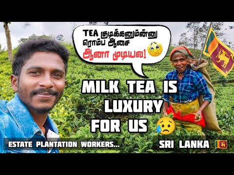 Milk tea is luxury for us | டீ குடிக்கனும்ன்னு ஆசை | Plantation workers in upcountry srilanka 🇱🇰