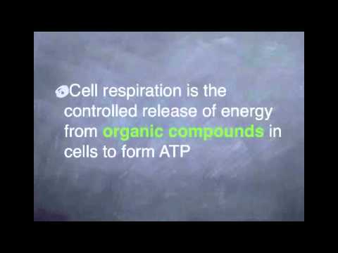 3.7.1 Define Cell Respiration