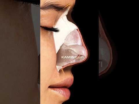 SKIN ⭕️ Superficial structure covering all elements of the outer nose. #kaminskyi