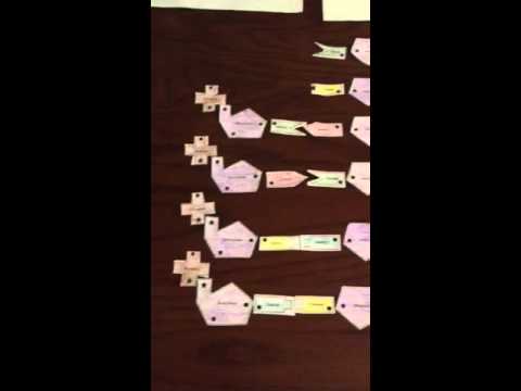 MODEL OF DNA LAB
