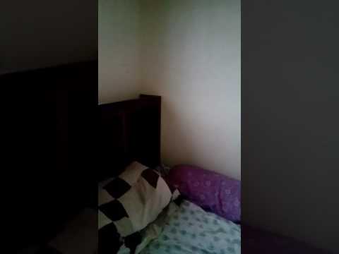 Steam Community :: Video :: Bored flip 2015