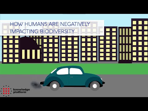 Human's Impacts on Biodiversity | Explaination in Urdu | Knowledge Platform