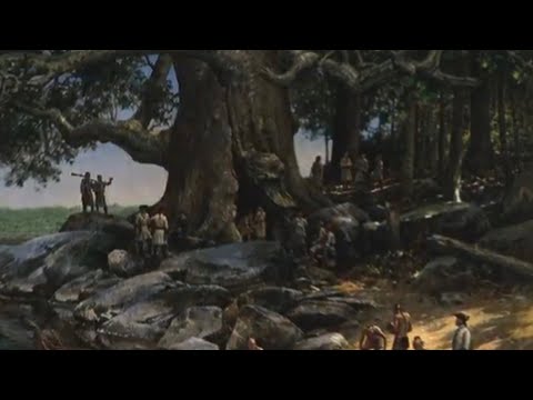 They Lived in Hollow Trees! (Appalachian Settlers and the American Sycamore)