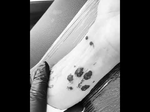 Dog paw print @ Marbella Tattoo Studio