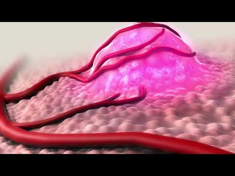 CGRP --- Calcitonin Gene-Related Peptide