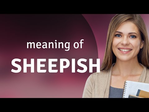 Understanding "Sheepish": A Fun Dive into English Idioms!