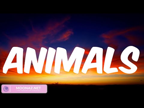 Maroon 5 - Animals (Mix Lyrics) - Maroon 5, ZAYN & Sia, Tom Odell, Calvin Harris