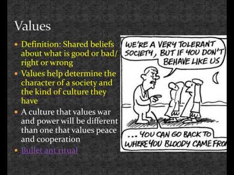 values norms and sanctions