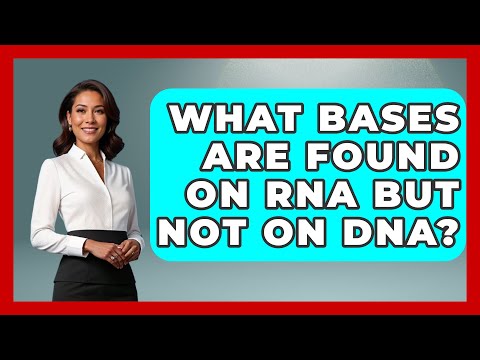 What Bases Are Found On RNA But Not On DNA? - Biology For Everyone