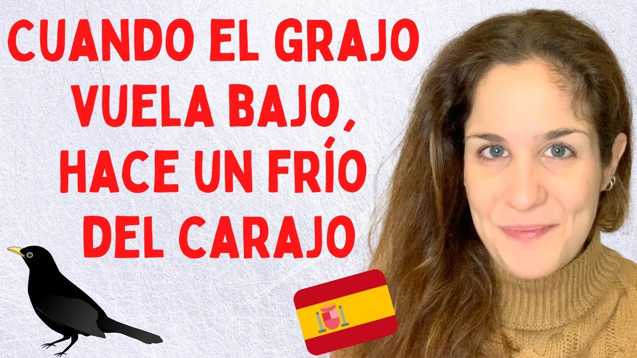 Refranes y Expresiones con la palabra FRÍO en español – Burbuja del Español