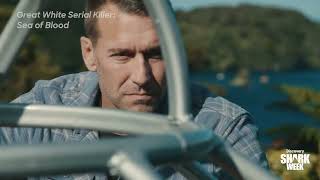 The 35 Best Shark Movies Of All Time