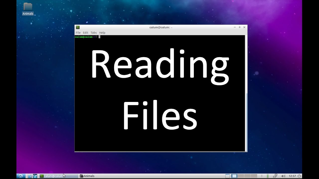 Command Line: Reading Files