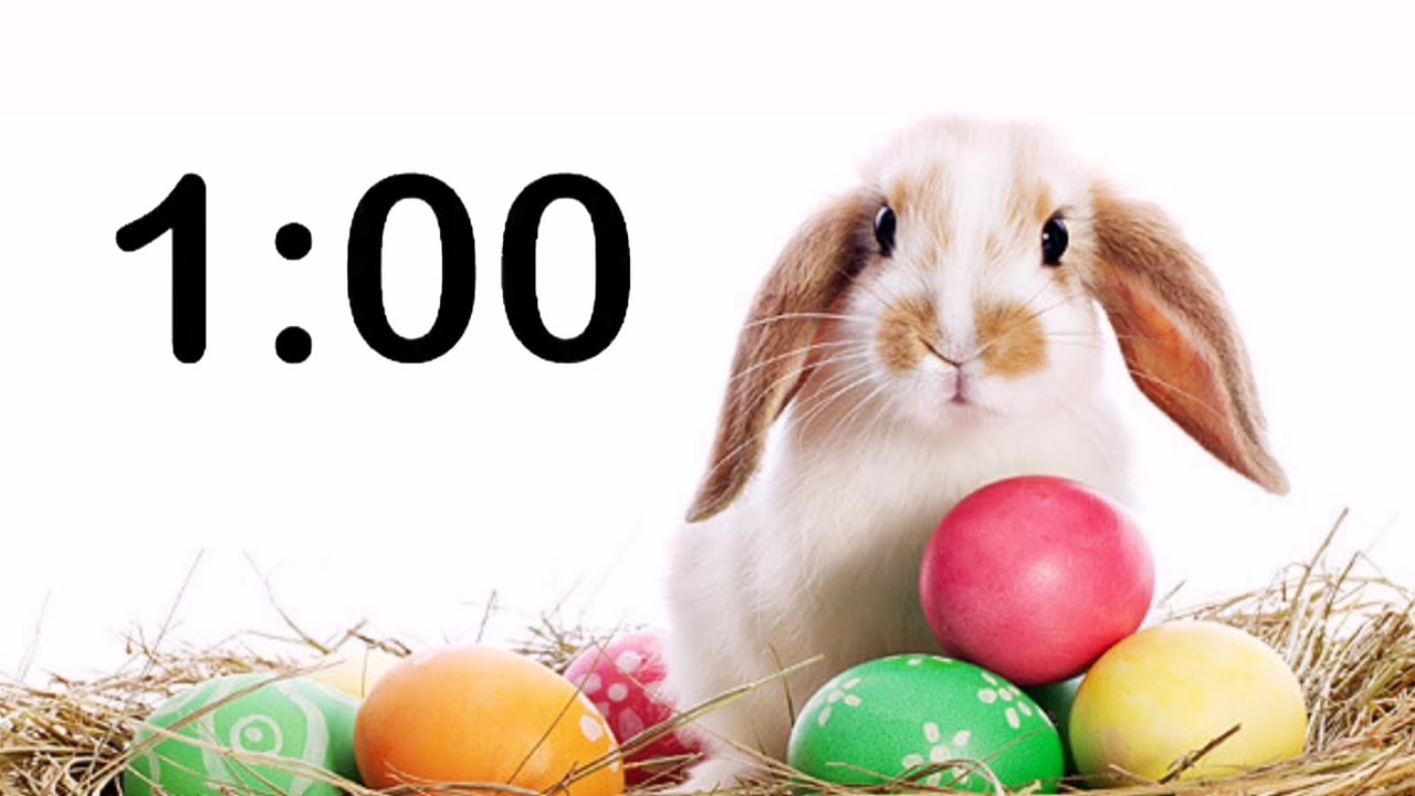 Easter Timer 1 Minute 🥚🐰