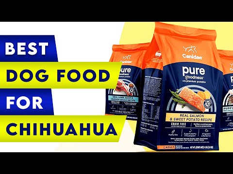 โ
5 Best Dog Food For Chihuahua! ๐