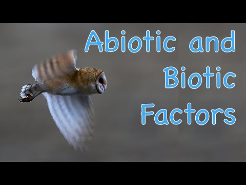 In Ecology, What are Biotic and Abiotic Factors?