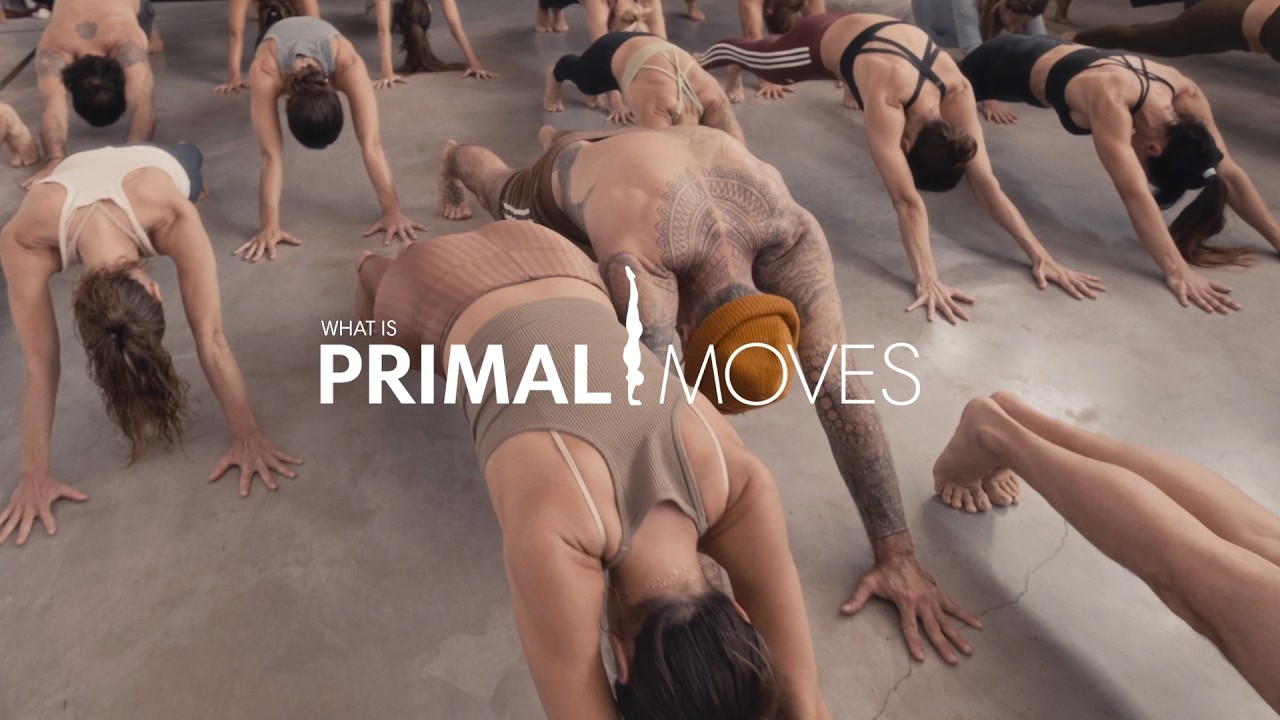 What is Primal Moves?