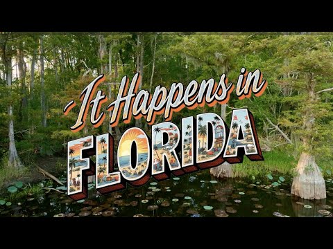 It Happens in Florida - Proof of Concept Video