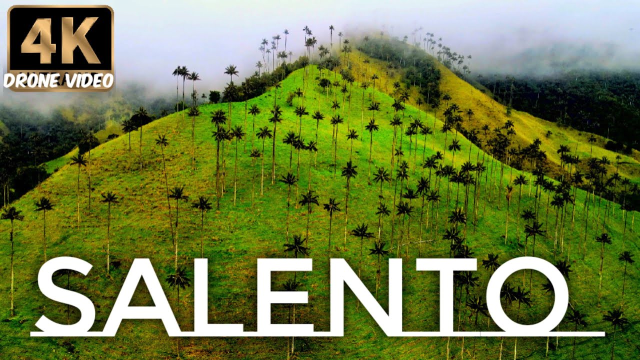Salento, Cocora Valley, Colombia 4k Drone