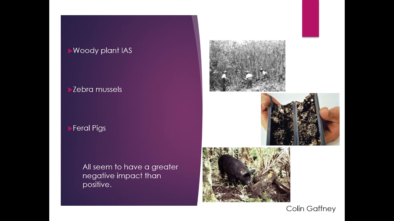 ppt   Invasive Species Final