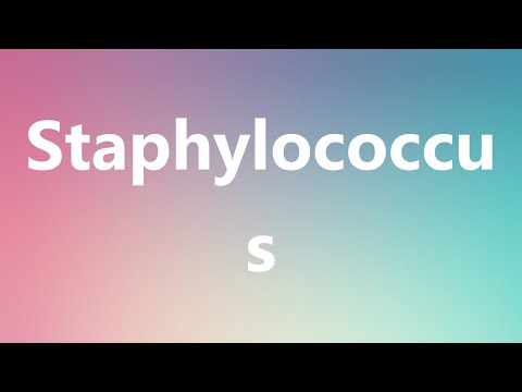 Staphylococcus - Medical Definition and Pronunciation