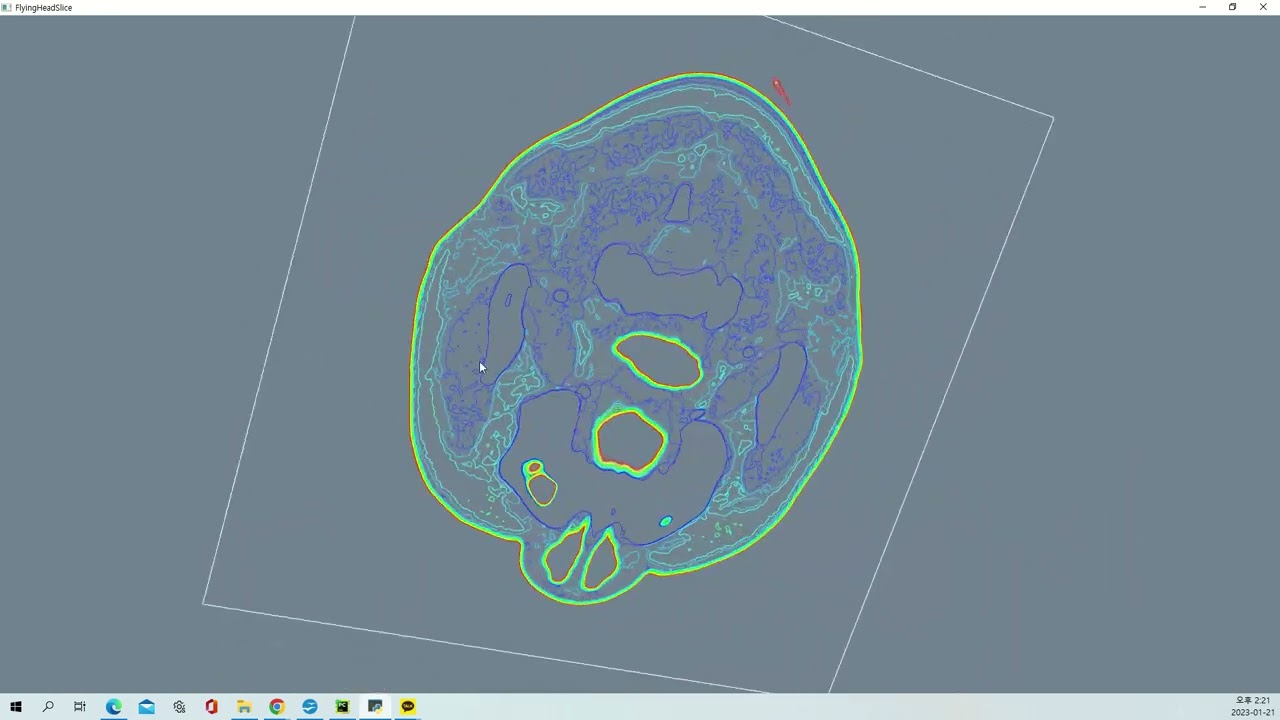 VTK Python Example - FlyingHeadSlice