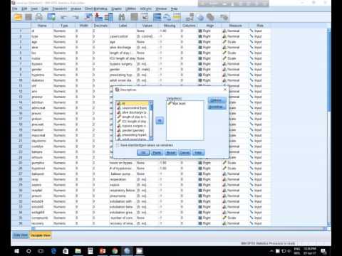 SPSS Mean, Std  deviation, Maximum, Minimum