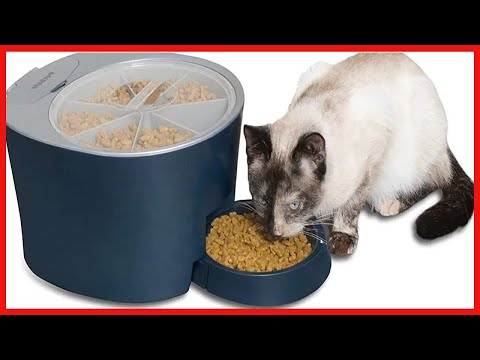 PetSafe 6 Meal Programmable Pet Food Dispenser, Automatic Dog and Cat Feeder - Dry Kibble or SemI