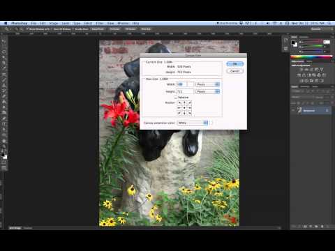Canvas size add 50 pixels in Photoshop