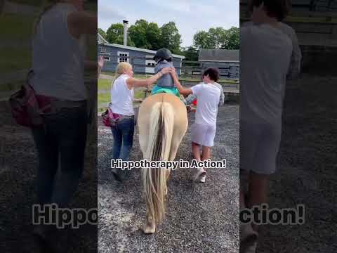 Discover The Power of Hippotherapy ! Hippotherapy is a treatment strategy that partners equine