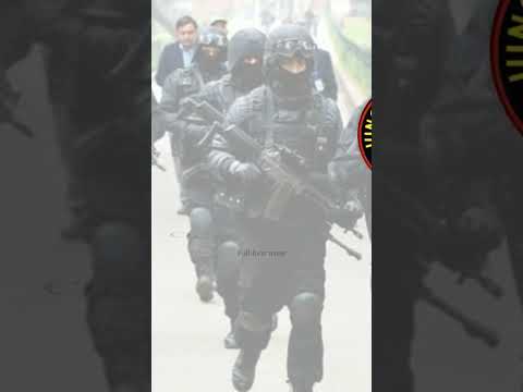 | COBRA | FULL FORM NAME | #fullformname #cobra #reels #viral #jagojagobakre