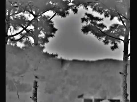 Kaya Lynceus™ Thermal Imaging