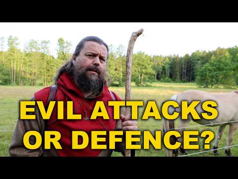 The SHOCKING Reason the VIKING Raids Started