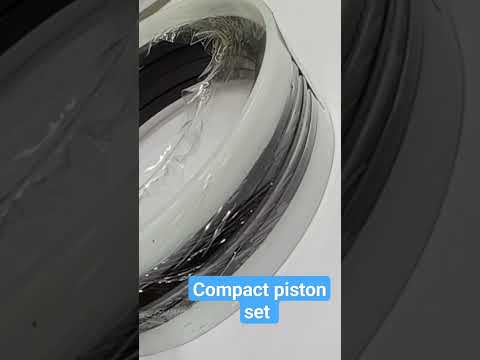 Compact Seal at Best Price in India