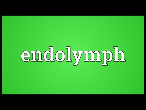 Endolymph Meaning