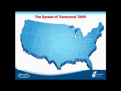 The Transcaval Approach to TAVR - Adam Greenbaum, MD