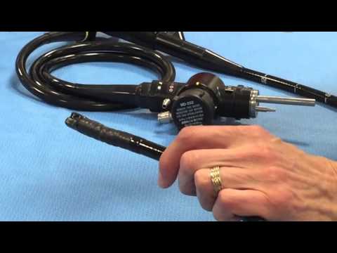 Cleaning Duodenoscopes: Are We Doing It Right?