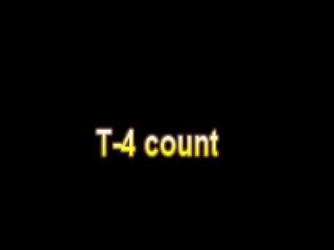 What Is The Definition Of T 4 count