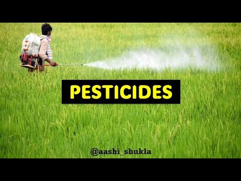 Pesticides - Their classification and effect Video Lecture - Crash ...